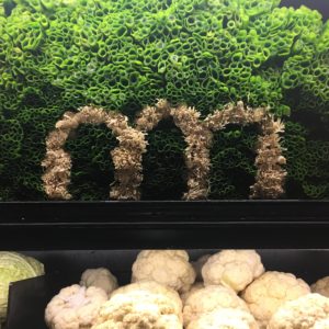 An Easy Chicken Fajita recipe with Metropolitan Market and my mom - An ...