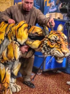 Life of Pi with Broadway in Seattle - An Emerald City Life